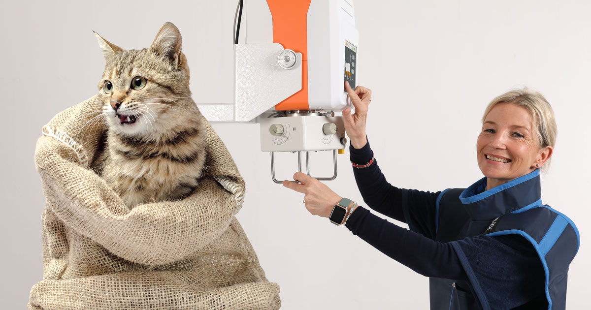 Veterinary X-ray machines for dogs, cats and small animals