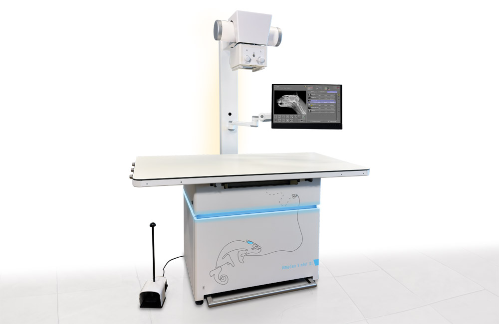 Stationary digital X-ray system for small animal medicine