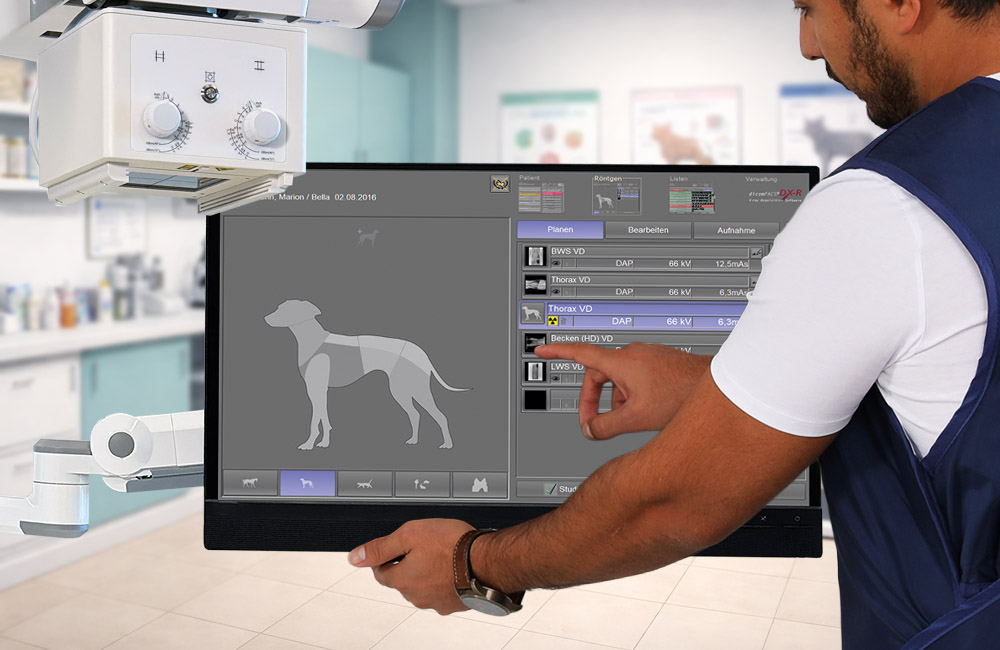 Stationary digital X-ray system for small animal medicine