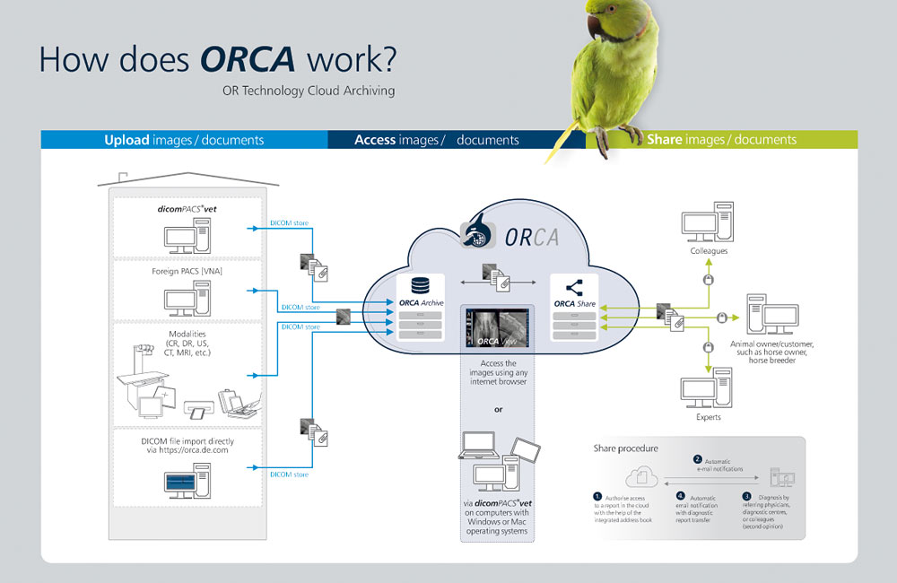 ORCA Cloud based archiving of veterinary images >> PACS