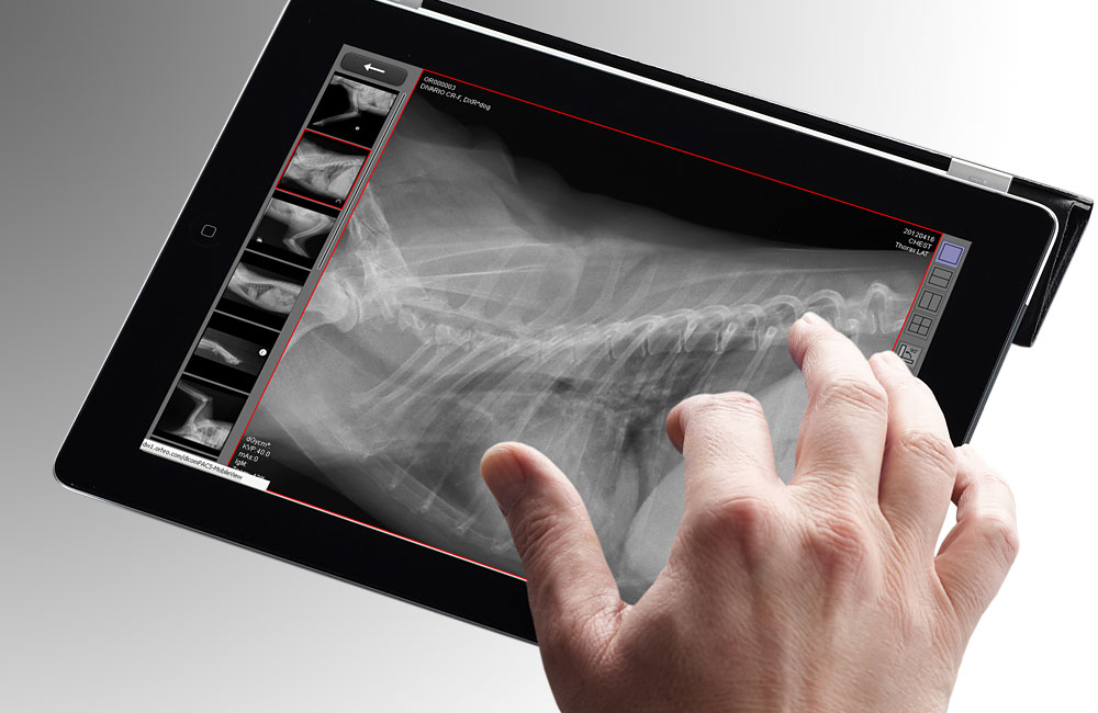 PACS for Vets | Web-based viewer for mobile devices or PCs