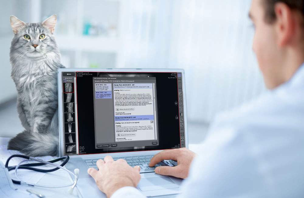 PACS for Vets | Web-based viewer for mobile devices or PCs